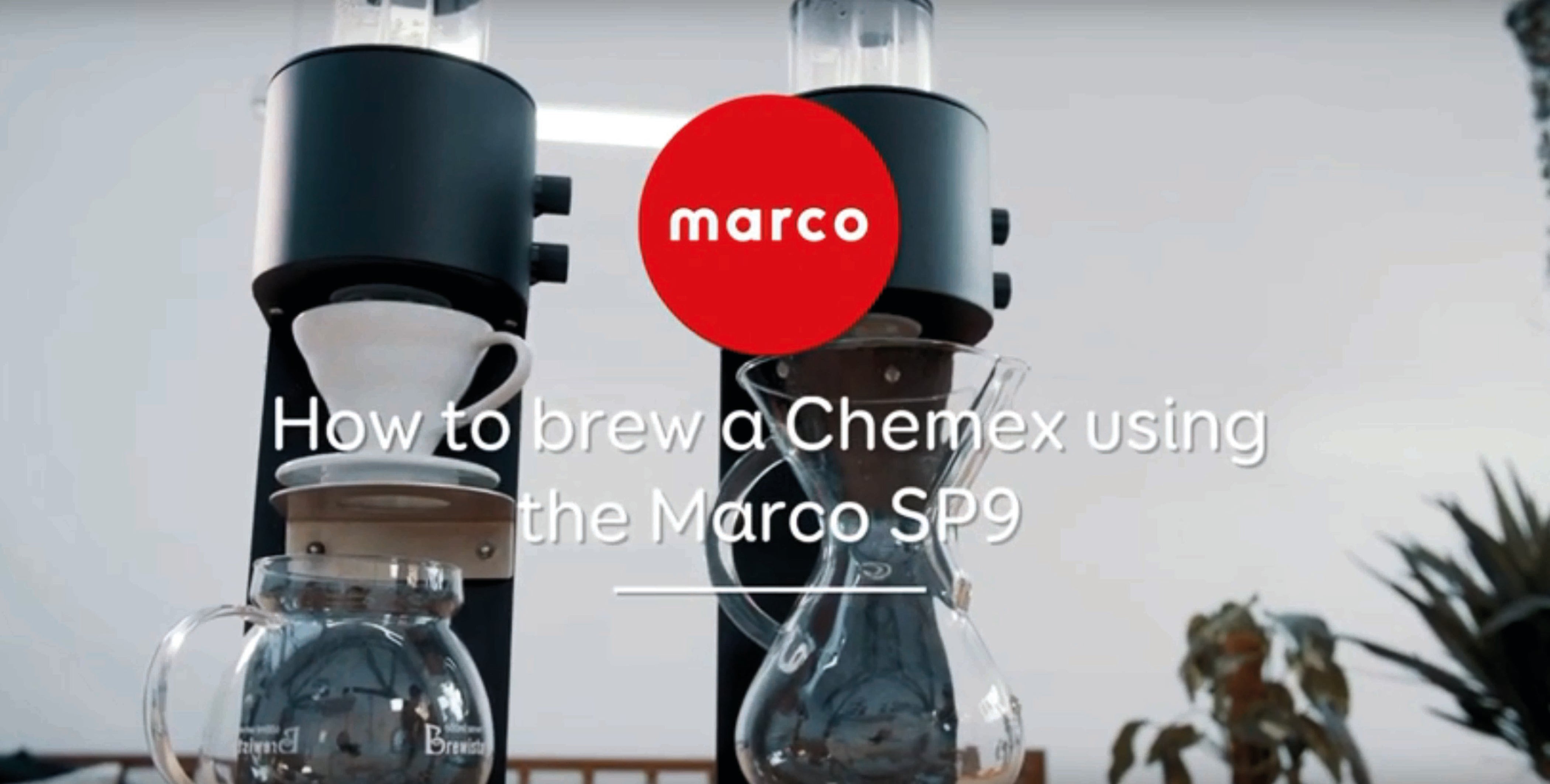 London School of Coffee | London School of Coffee